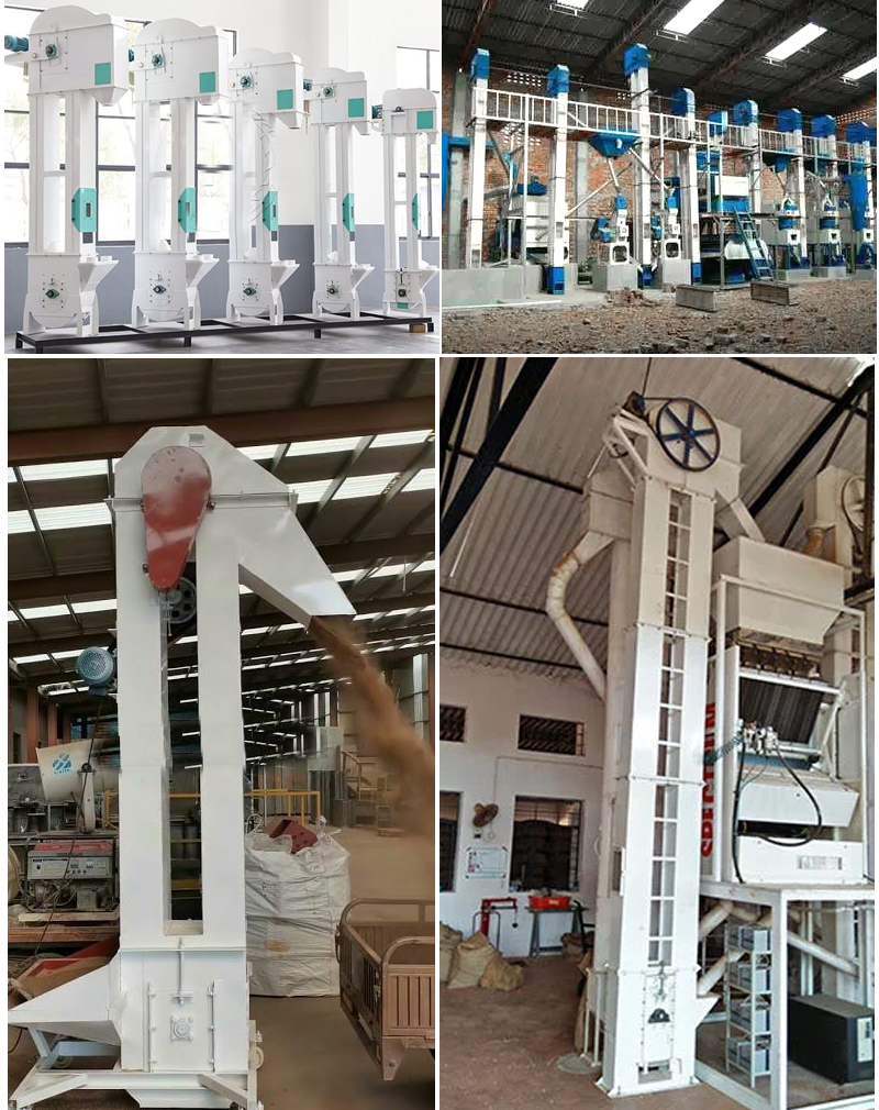 Rice Bucket Elevator-DAHAN Vibration Machinery